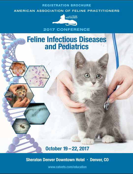 Susan Little, DVM, DABVP (Feline): @CatVetSusan | Travels of a cat ...